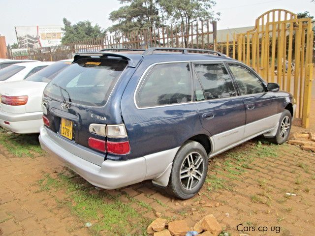 Used Toyota L-Touring | 1996 L-Touring for sale | Toyota L-Touring ...