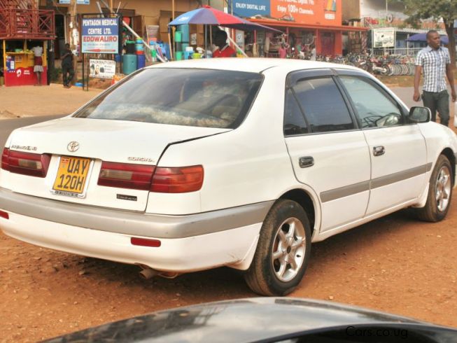 Used Toyota Premio | 1999 Premio for sale | Toyota Premio sales ...