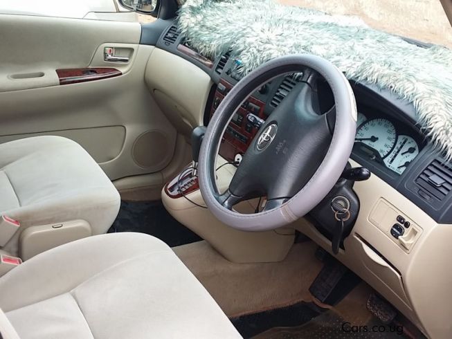 Used Toyota Spacio new shape 2003 | 2003 Spacio new shape 2003 for sale ...