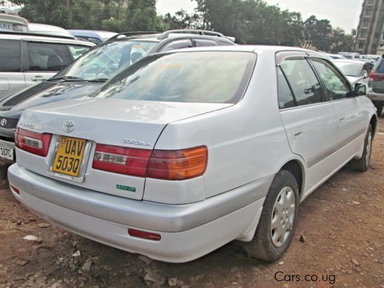Used Toyota Premio | 1999 Premio for sale | Toyota Premio sales ...