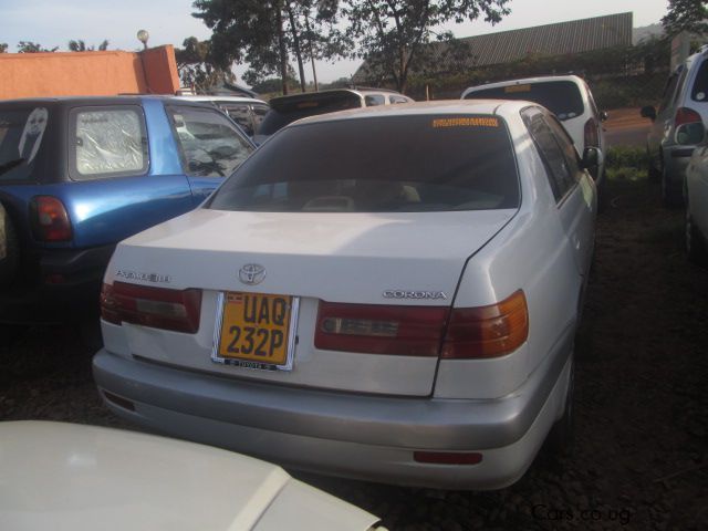 Used Toyota Premio | 1999 Premio for sale | Toyota Premio sales ...
